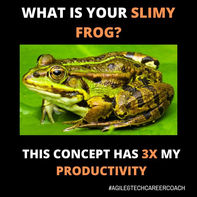 What Is Your Slimy Frog? - Nada Buhendi